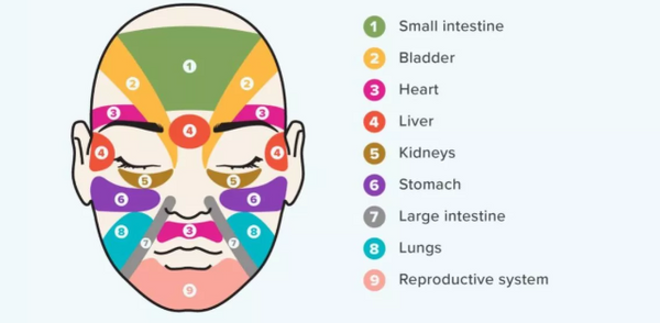 What Is Face Mapping (And Why Do I Need It?) – Nutrii